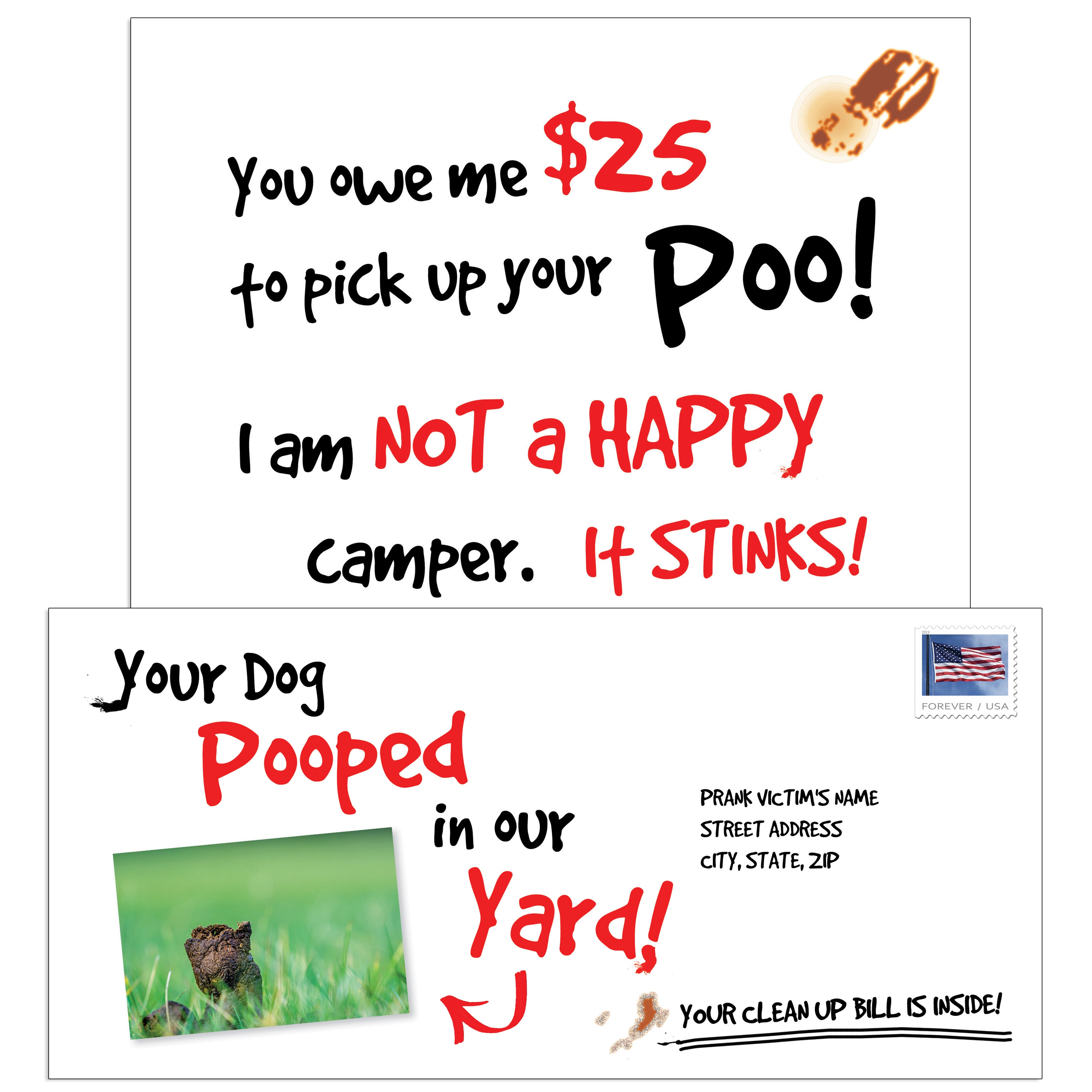 Your Dog Pooped in our Yard - Dog Owners Mail Prank Letter – Design Doggie