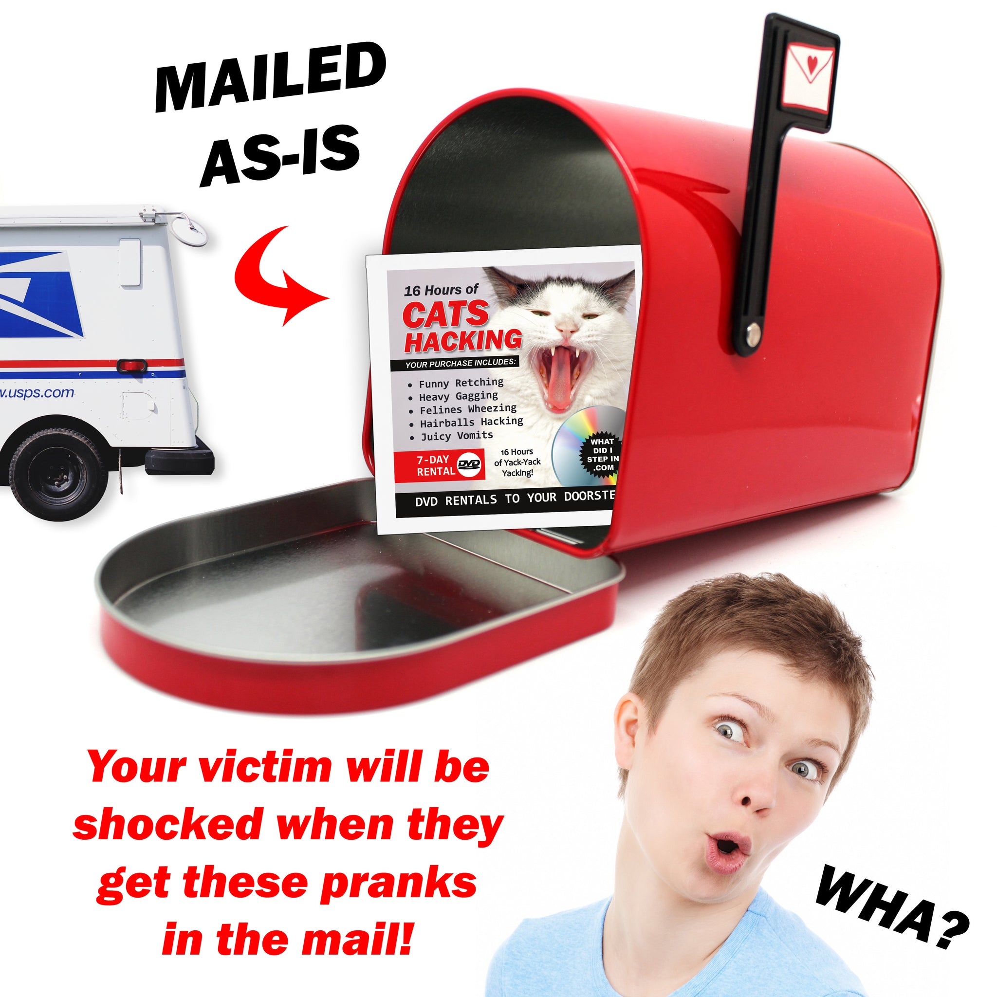 Cat's Hacking DVD Prank Mail – Design Doggie