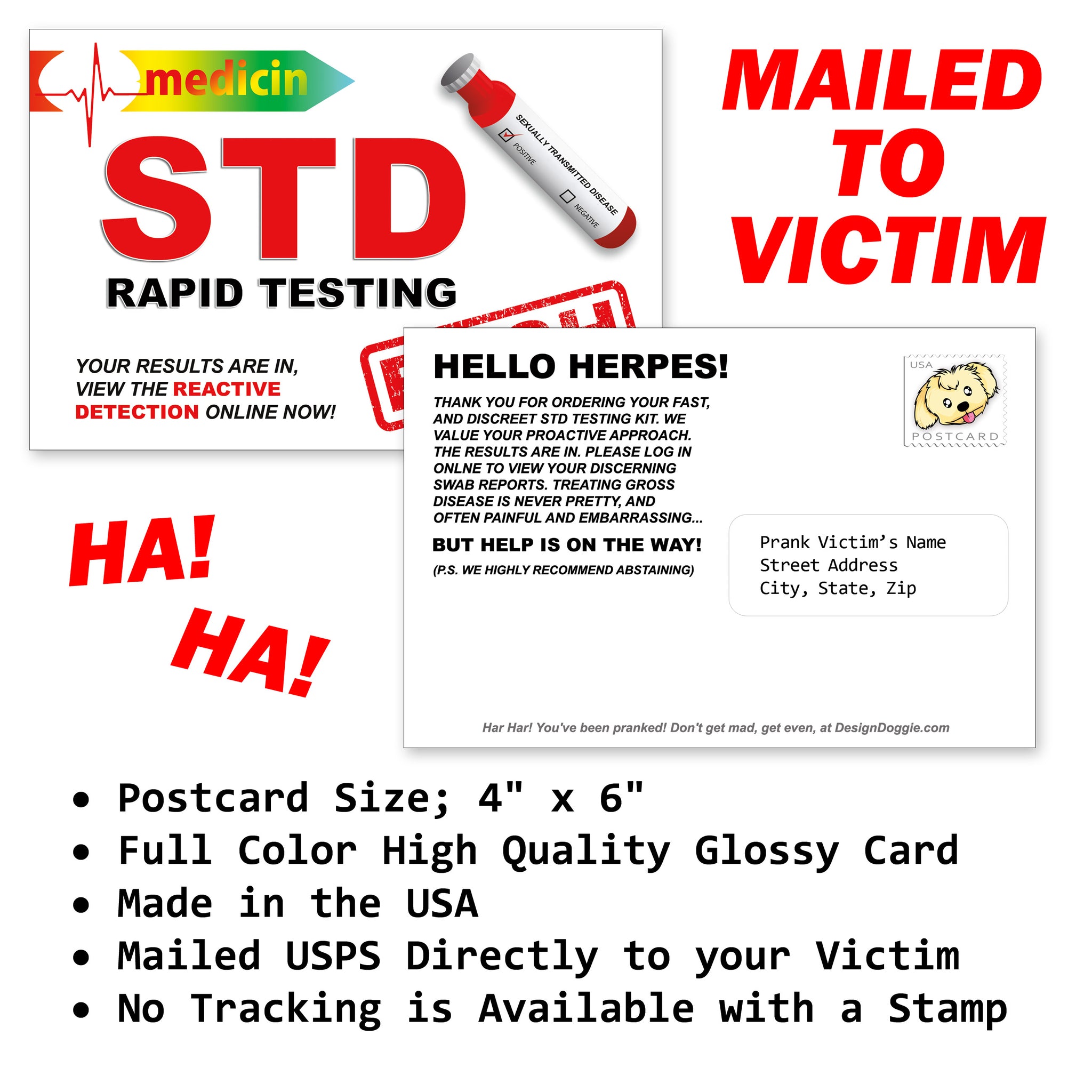 STD Funny Prank Postcard – Design Doggie